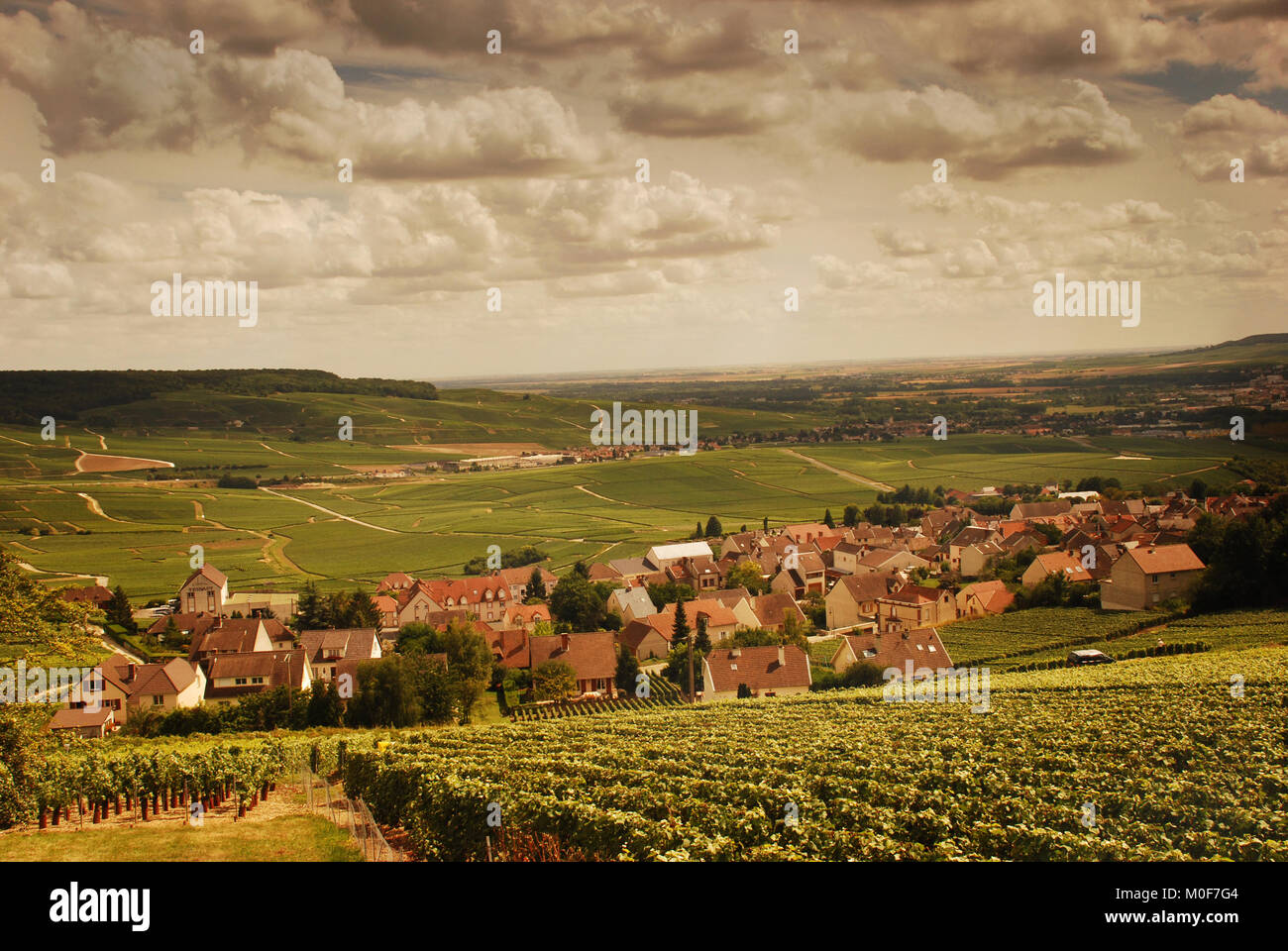 Hillside with Vineyards, Champagne Region, France Stock Photo - Alamy