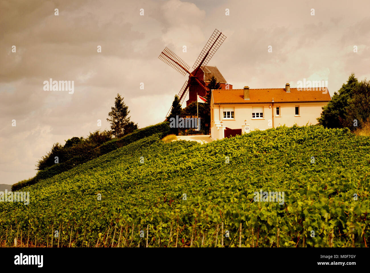 Mumm champagne france hi-res stock photography and images - Alamy