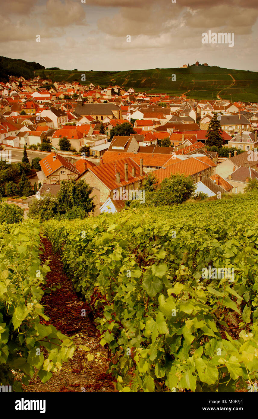 Village of Verzenay and Vineyards, Champagne Region, France Stock Photo ...