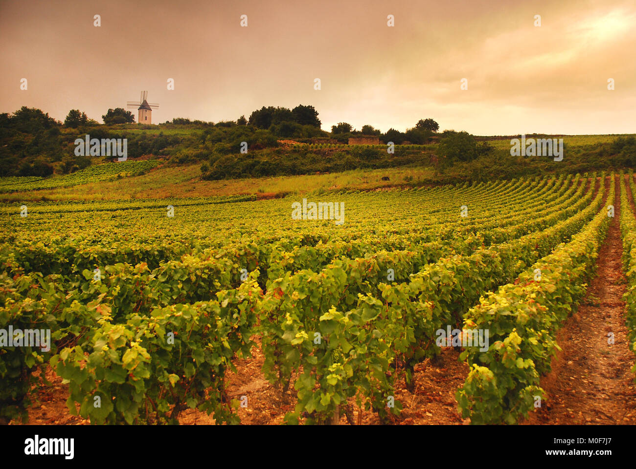 Burgundy wine region hi-res stock photography and images - Alamy