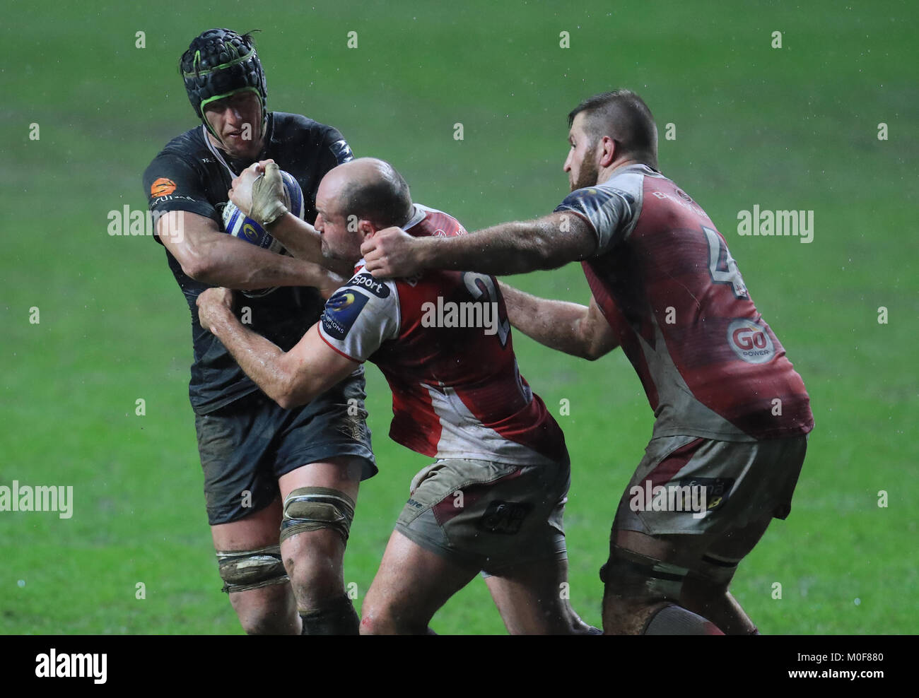 James gaskell wasps hi-res stock photography and images - Alamy