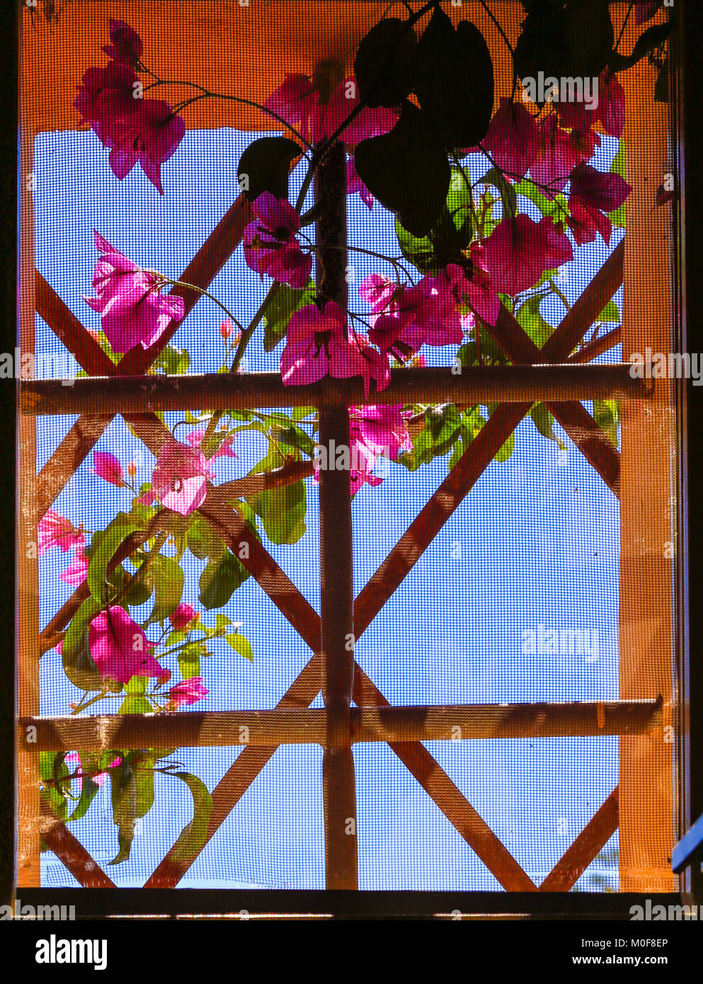 View through window Stock Photo - Alamy