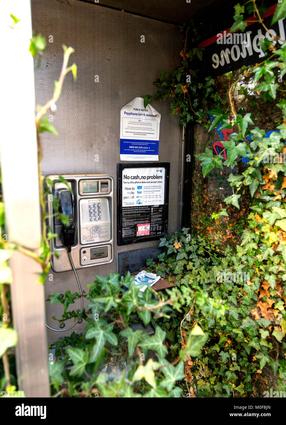 Red telephone box overgrown plants hi-res stock photography and images ...