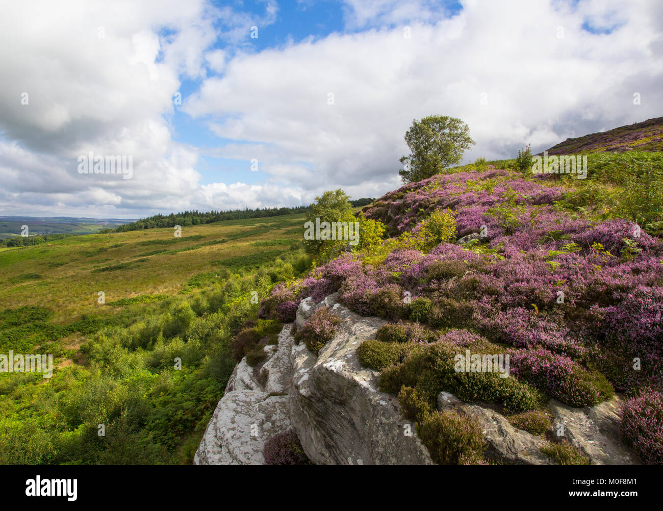 Northumberland Moorland Scene High Resolution Stock Photography and ...