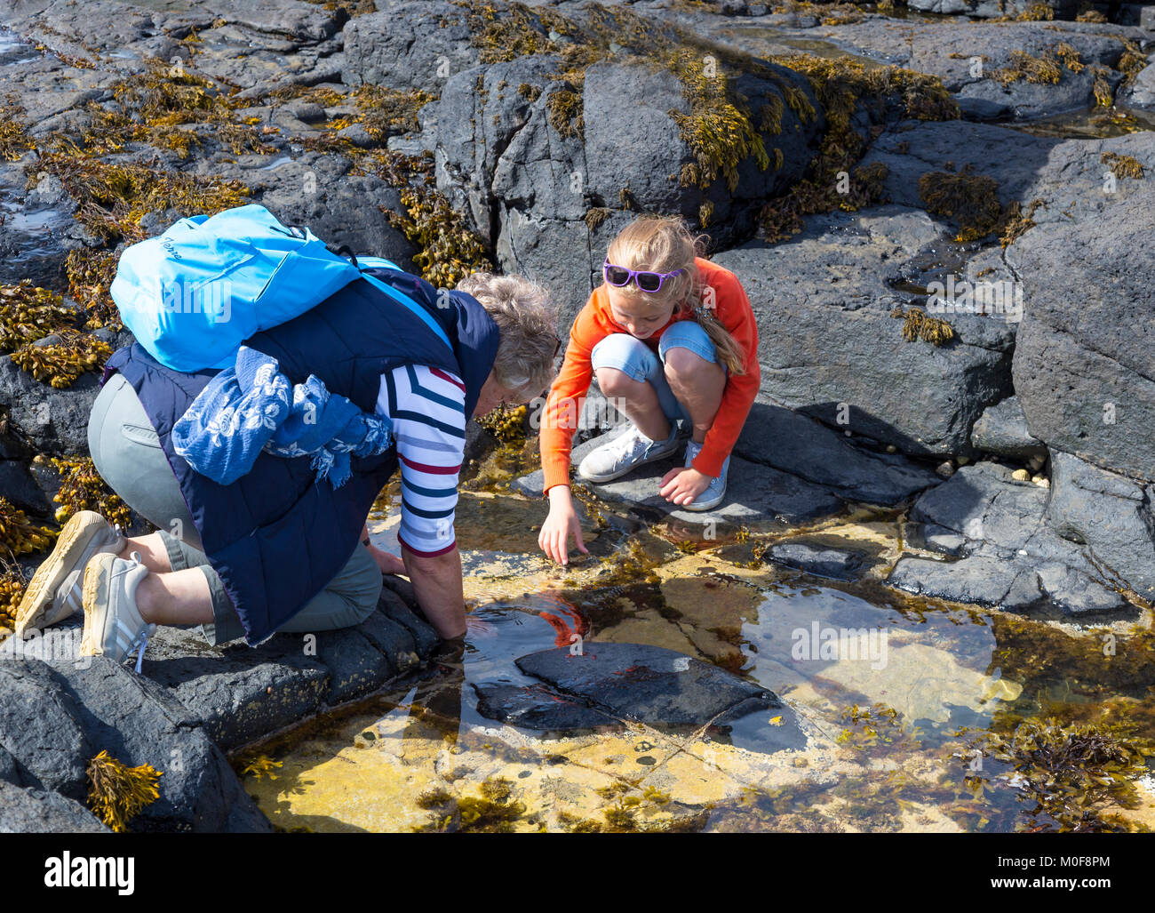 Rockpools rockpool hi-res stock photography and images - Alamy