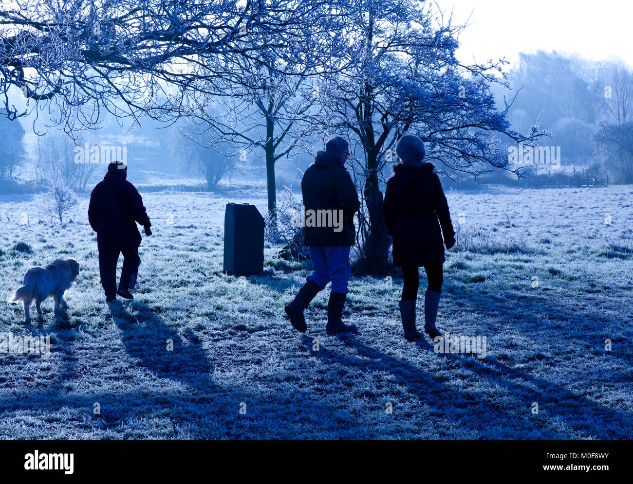 Freezing morning walk with dogs Stock Photo - Alamy