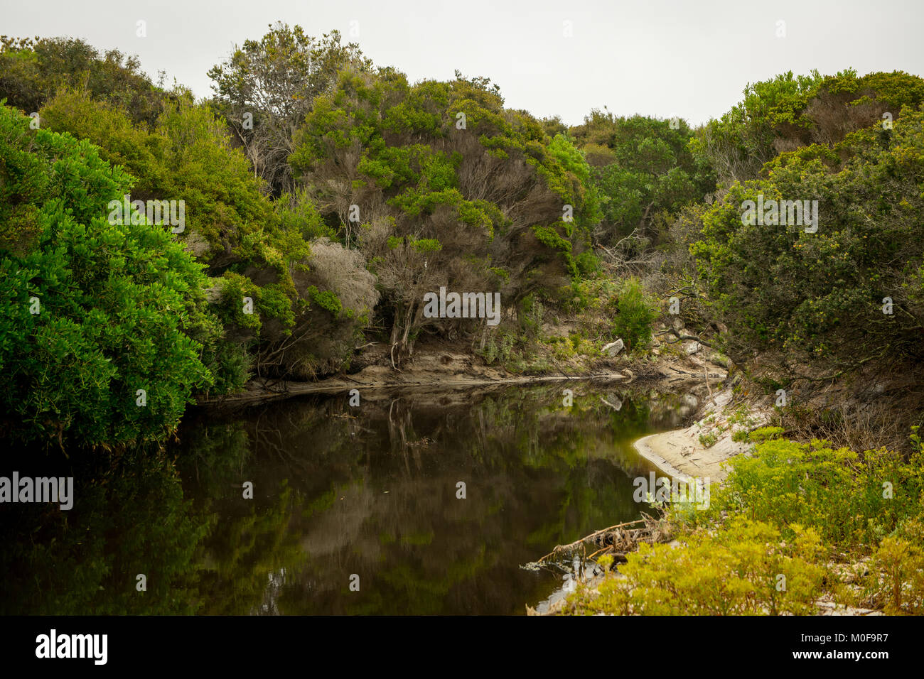 Binalong Beach on Tasmania 's Bay of Fires named because of Aboriginal ...