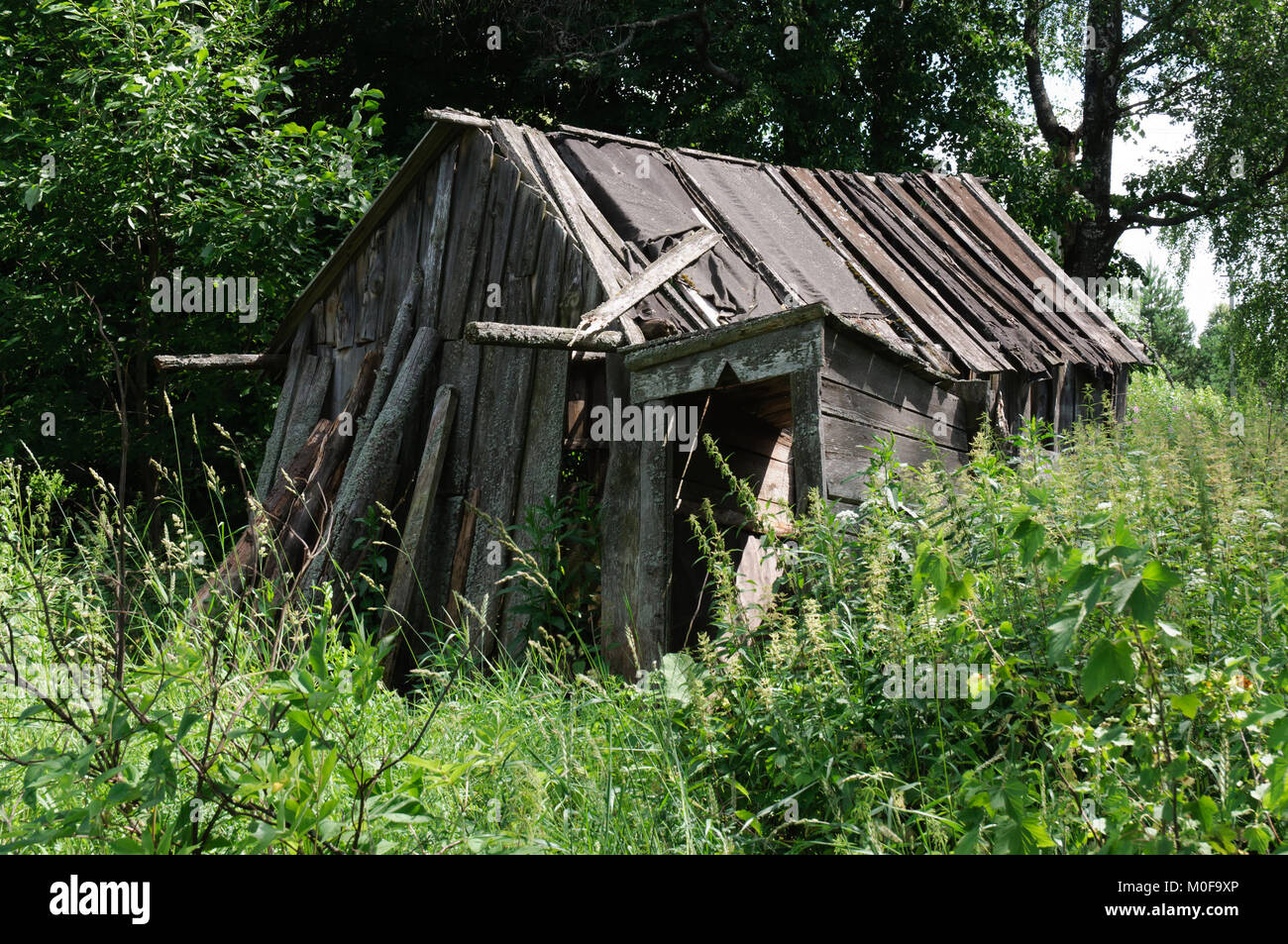 Old ruined barn in the countryside Russian federation Stock Photo - Alamy
