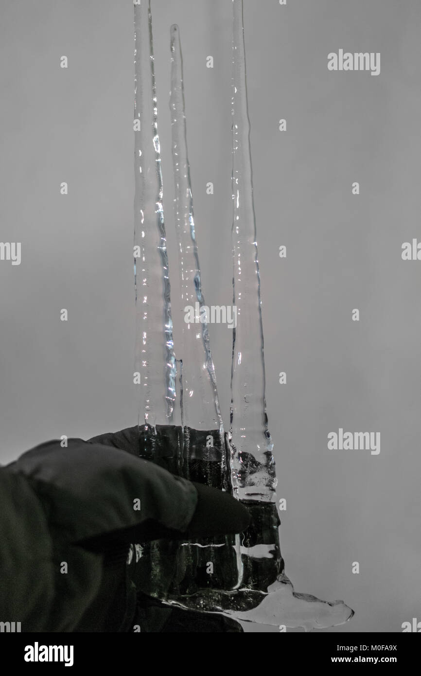 Three big icicles in a gloved hand Stock Photo - Alamy