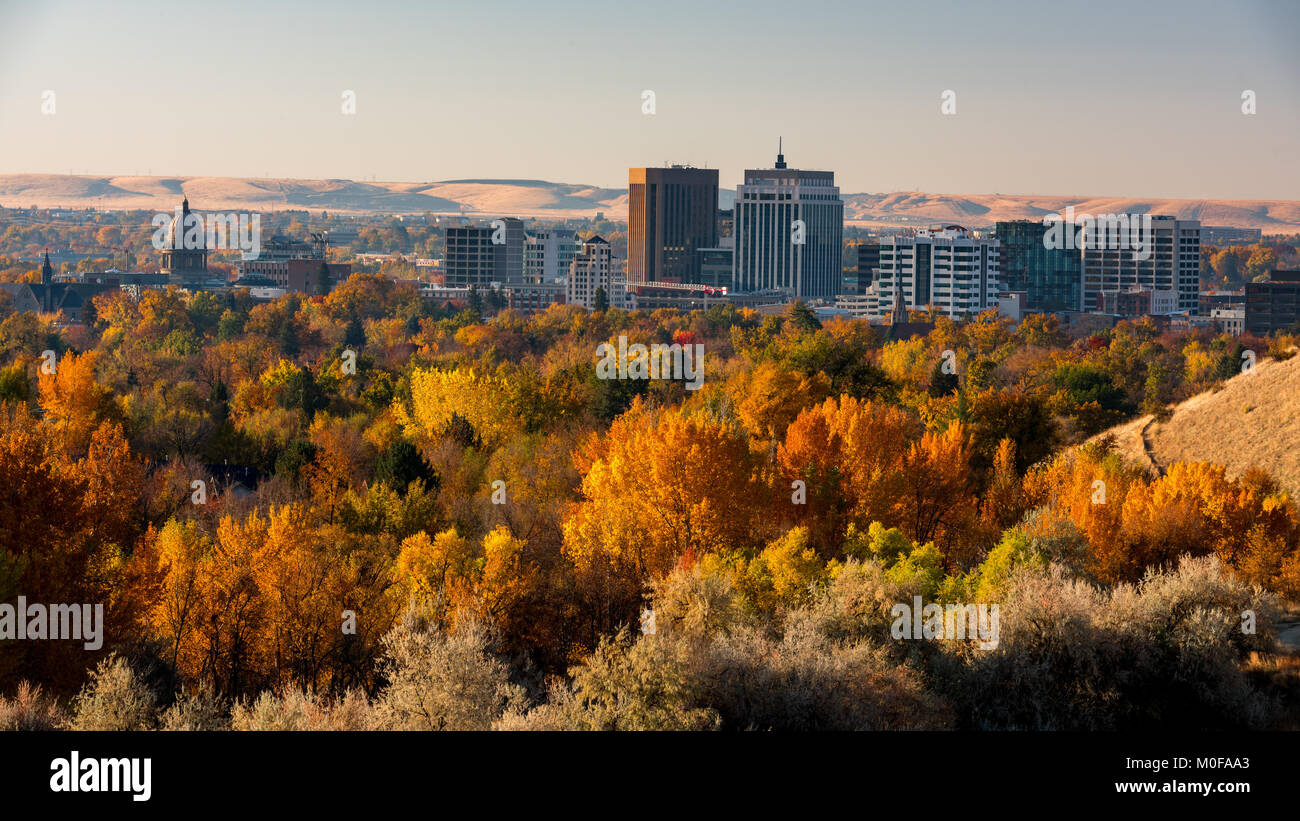 Fall trees and buildings of Boise Idaho skyline Stock Photo - Alamy