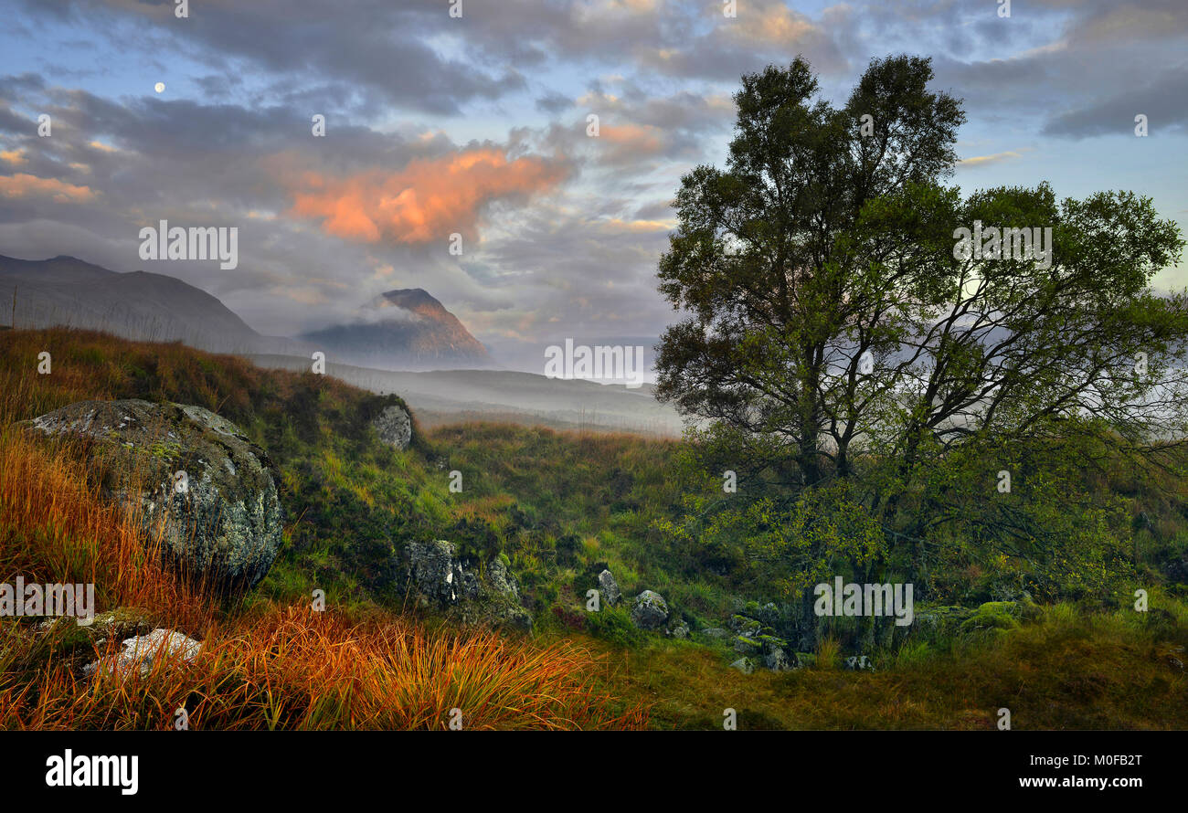 Am buachaille hi-res stock photography and images - Alamy