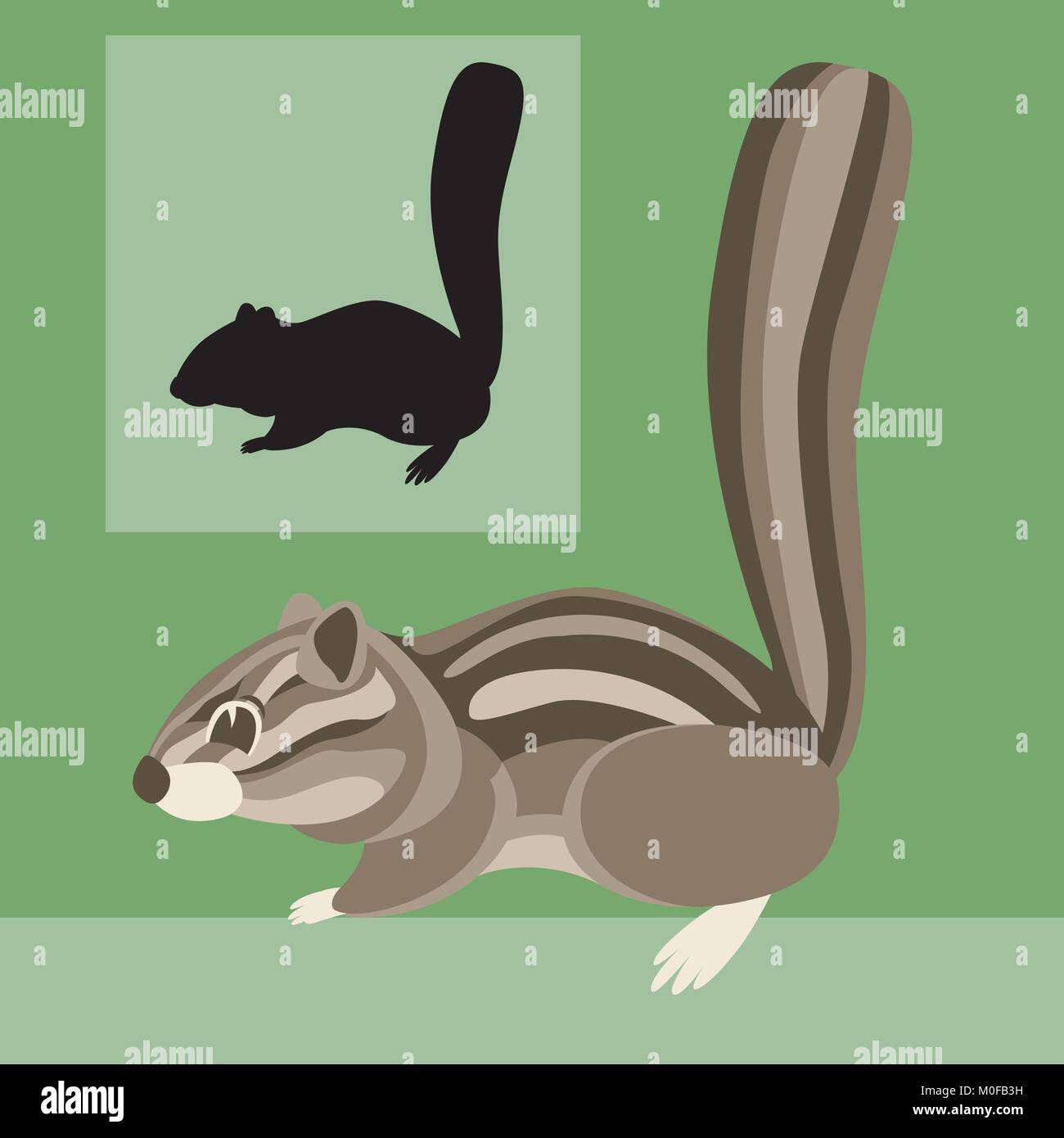 chipmunk vector illustration flat style black silhouette set profile ...