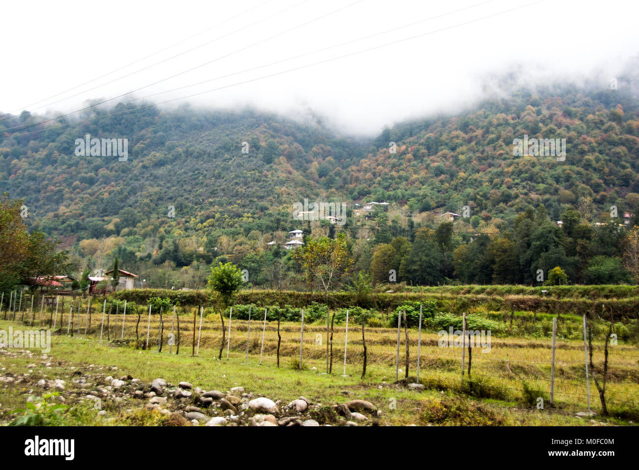 Road stead hi-res stock photography and images - Alamy
