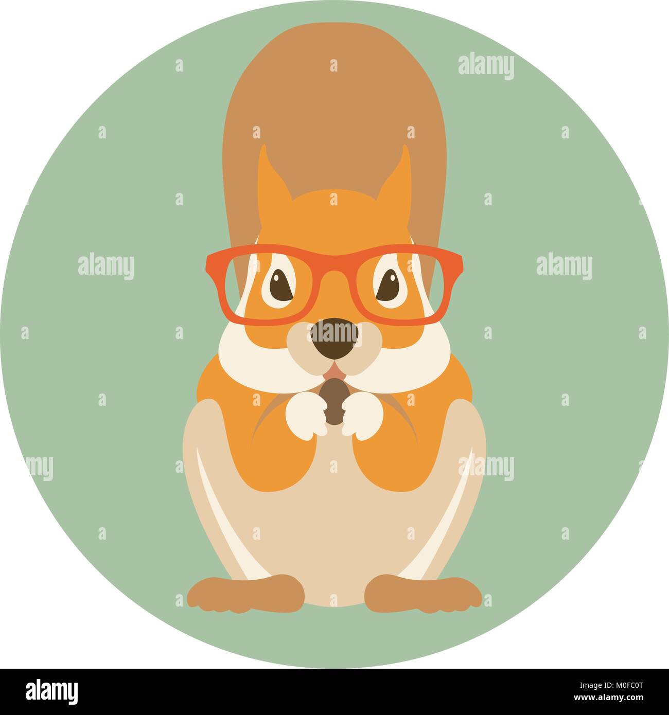 squirrel rodent in glasses vector illustration flat style front Stock ...