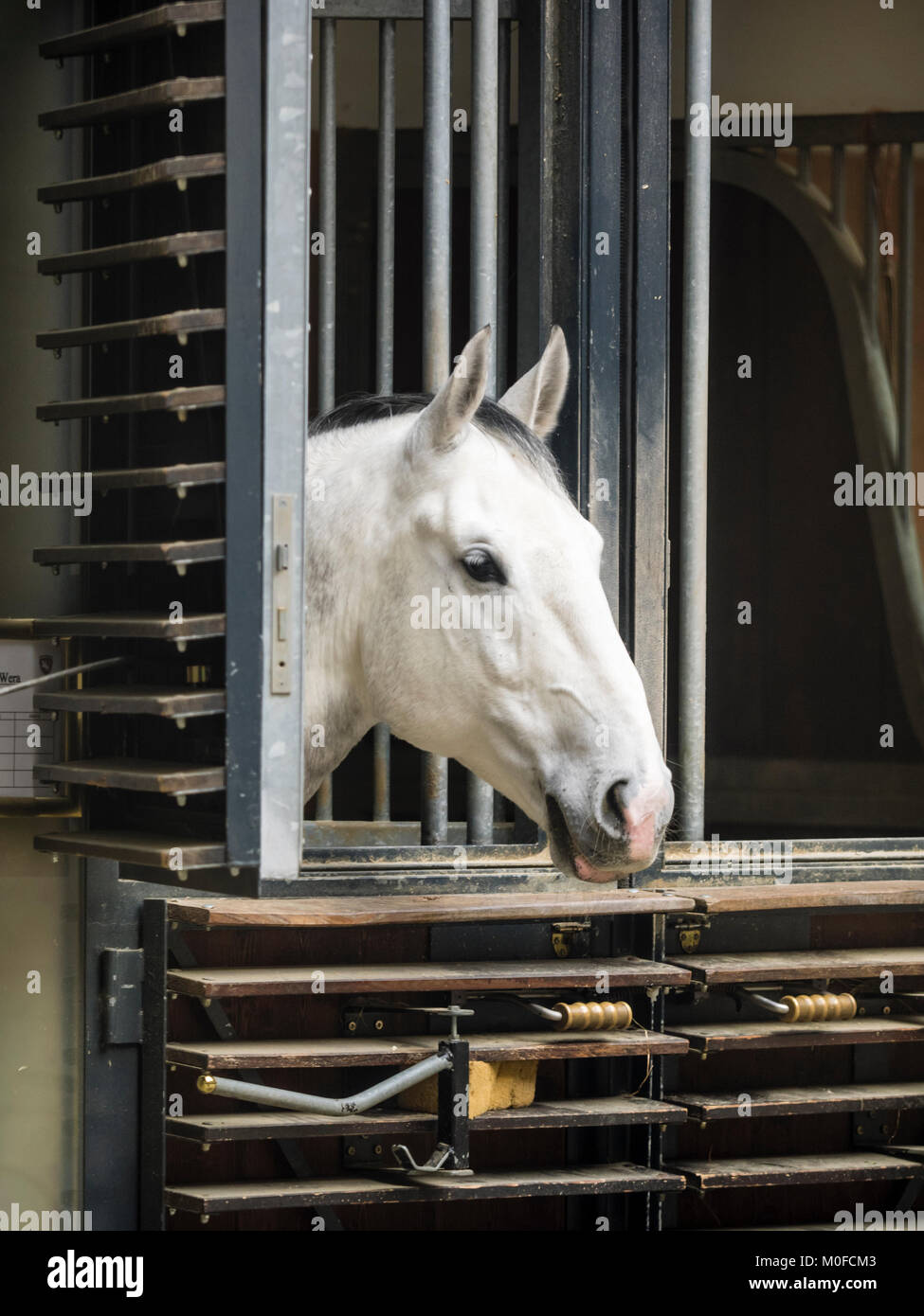 Vienna Spanish Riding School High Resolution Stock Photography and ...
