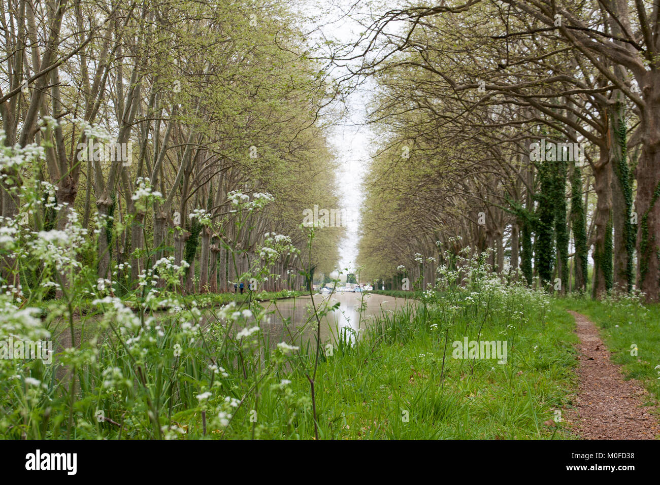 Canal lateral hi-res stock photography and images - Alamy