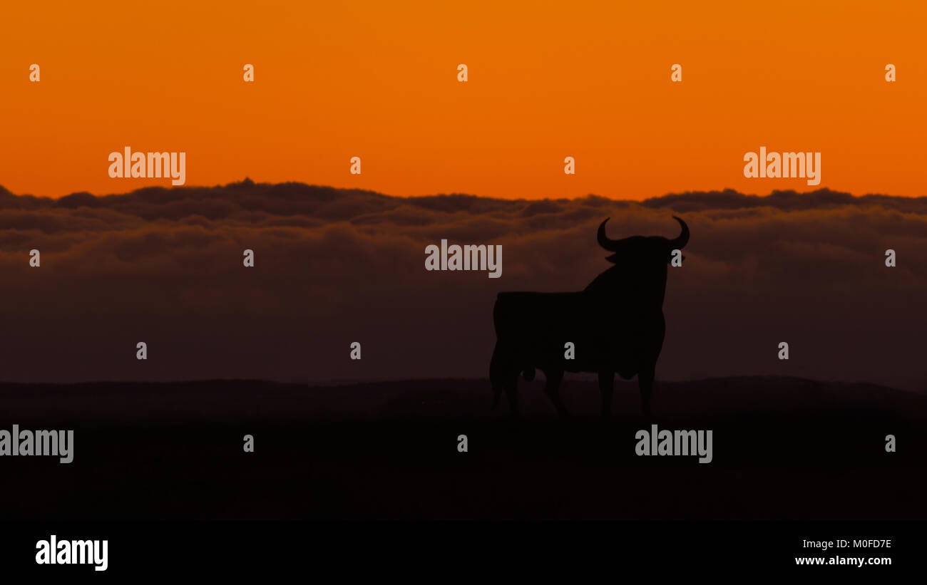 Spanish bull sign hi-res stock photography and images - Alamy