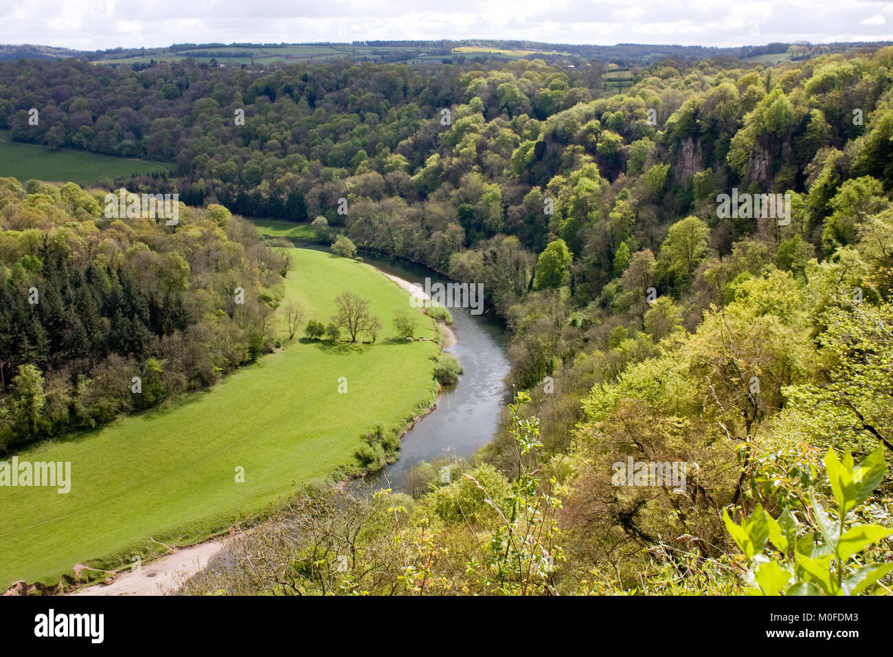 Woods forest dean rock hi-res stock photography and images - Alamy