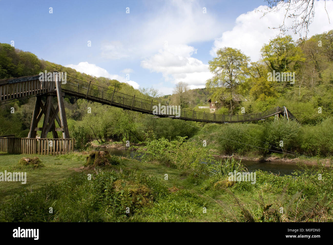 Wire bridge over the River Wye, Forest of Dean, England Stock Photo - Alamy