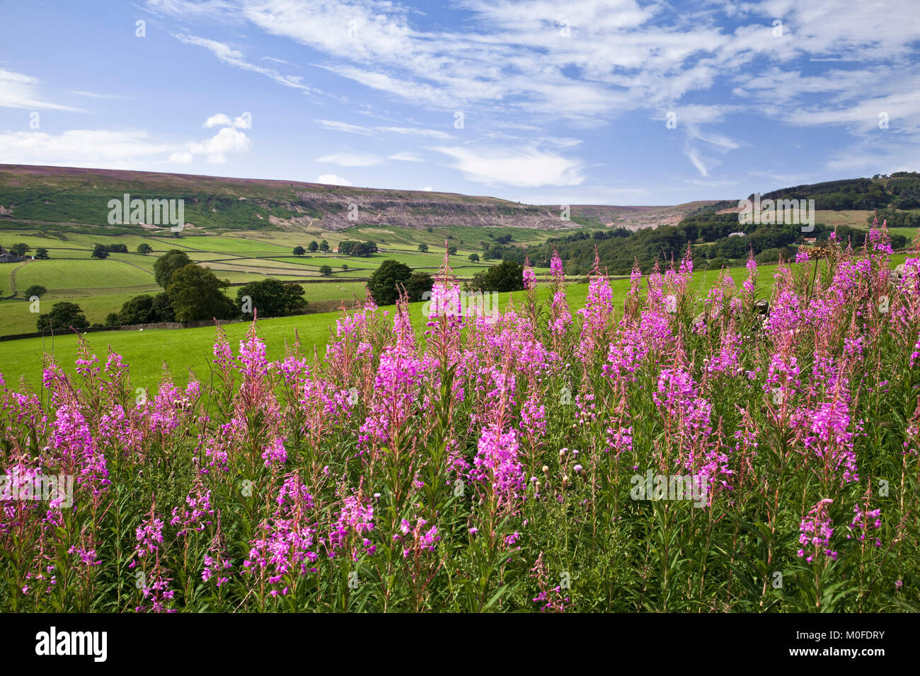 Bransdale in summer North York Moors national park North Yorkshire ...