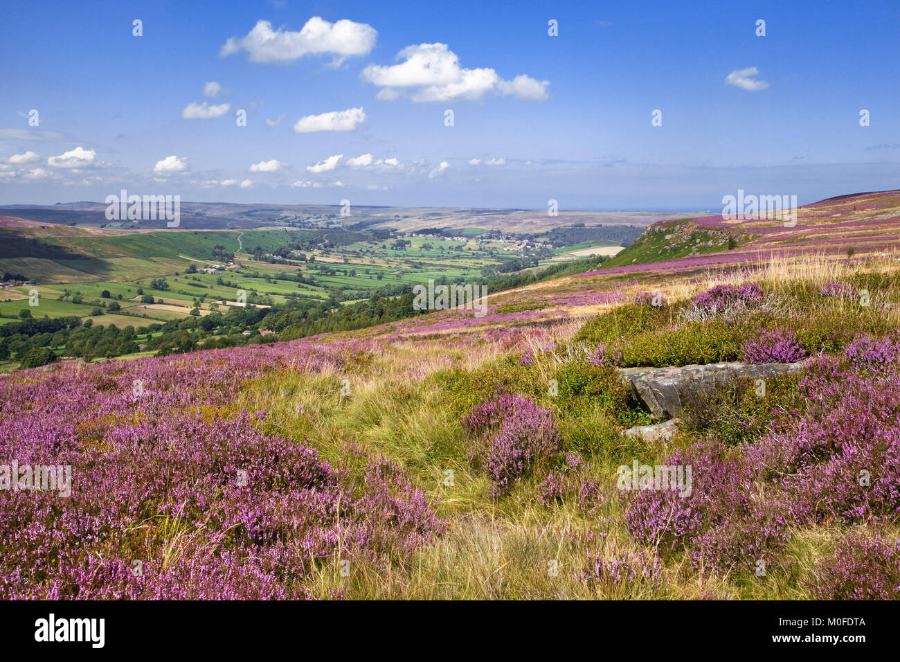 Danby Dale from Danby Rigg North York Moors national park North ...