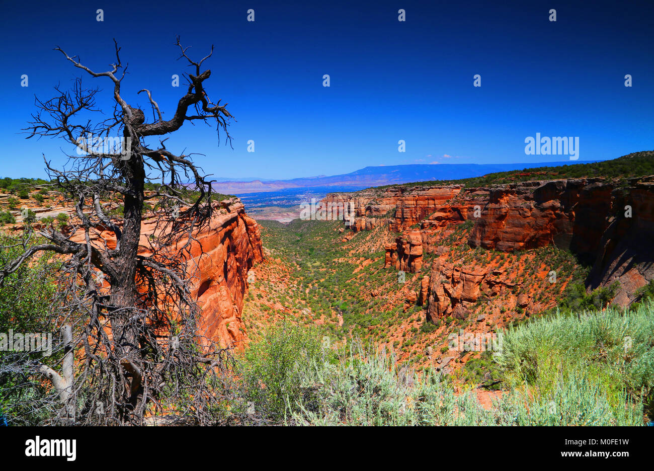 Red canyon colorado national hi-res stock photography and images - Alamy