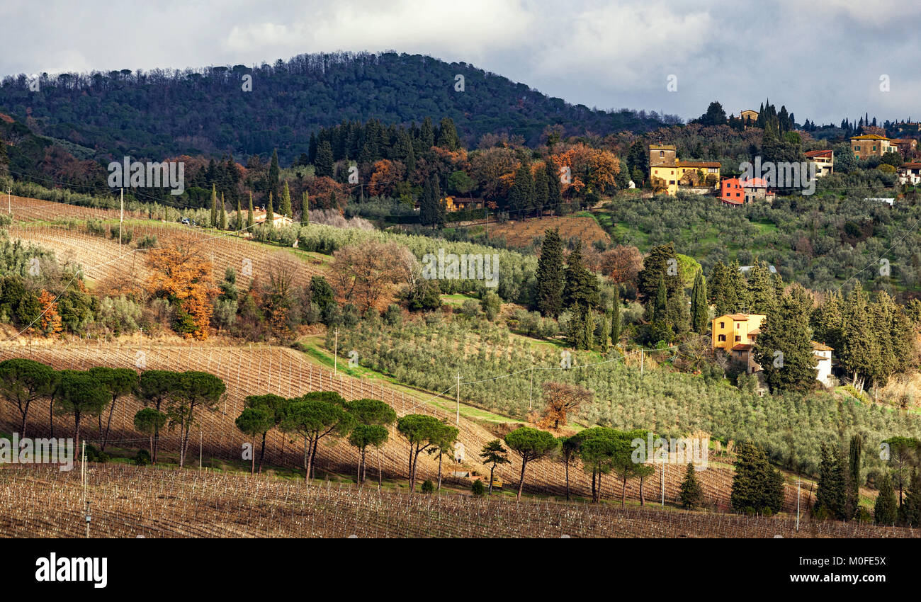 Rural countryside landscape of Tuscany hills. The Tuscany region is ...