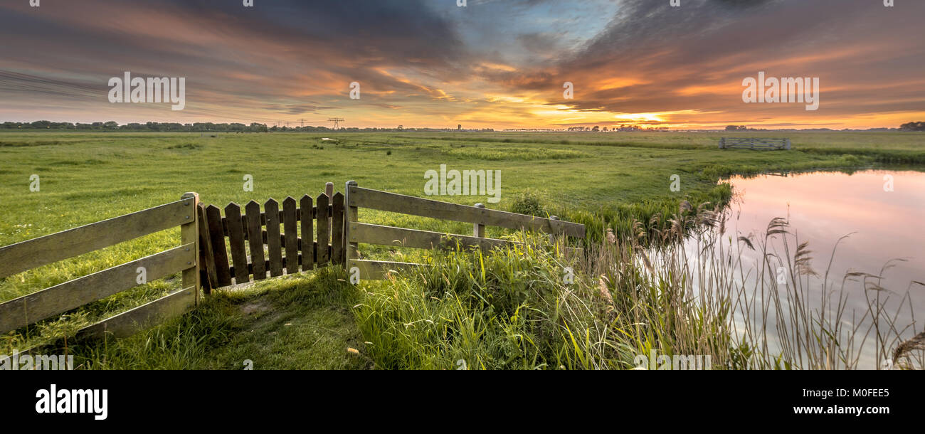 Panorama gate view of agricultural landscape of dutch countryside in ...