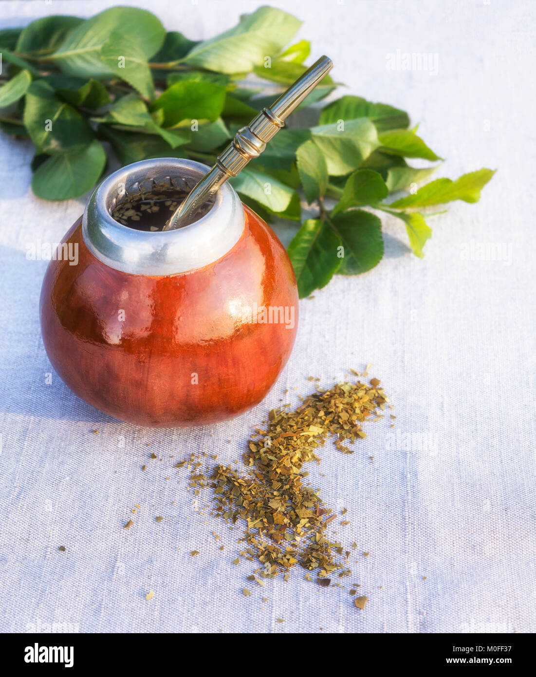 Traditional Latin America Yerba Mate Drink In Gourd Calabash With