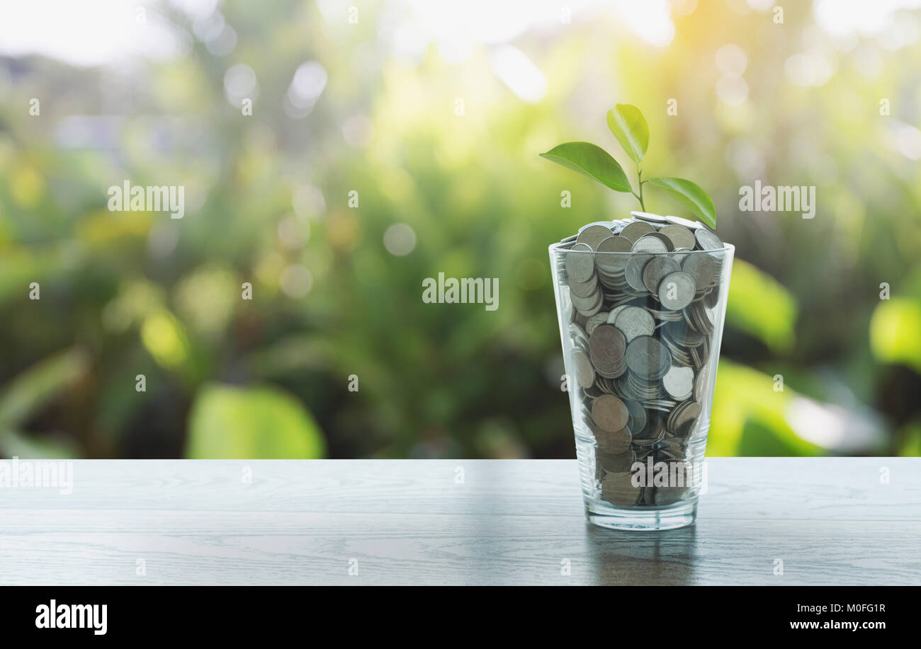 Money (coins) inscription "save" business, saving, growth, economic ...