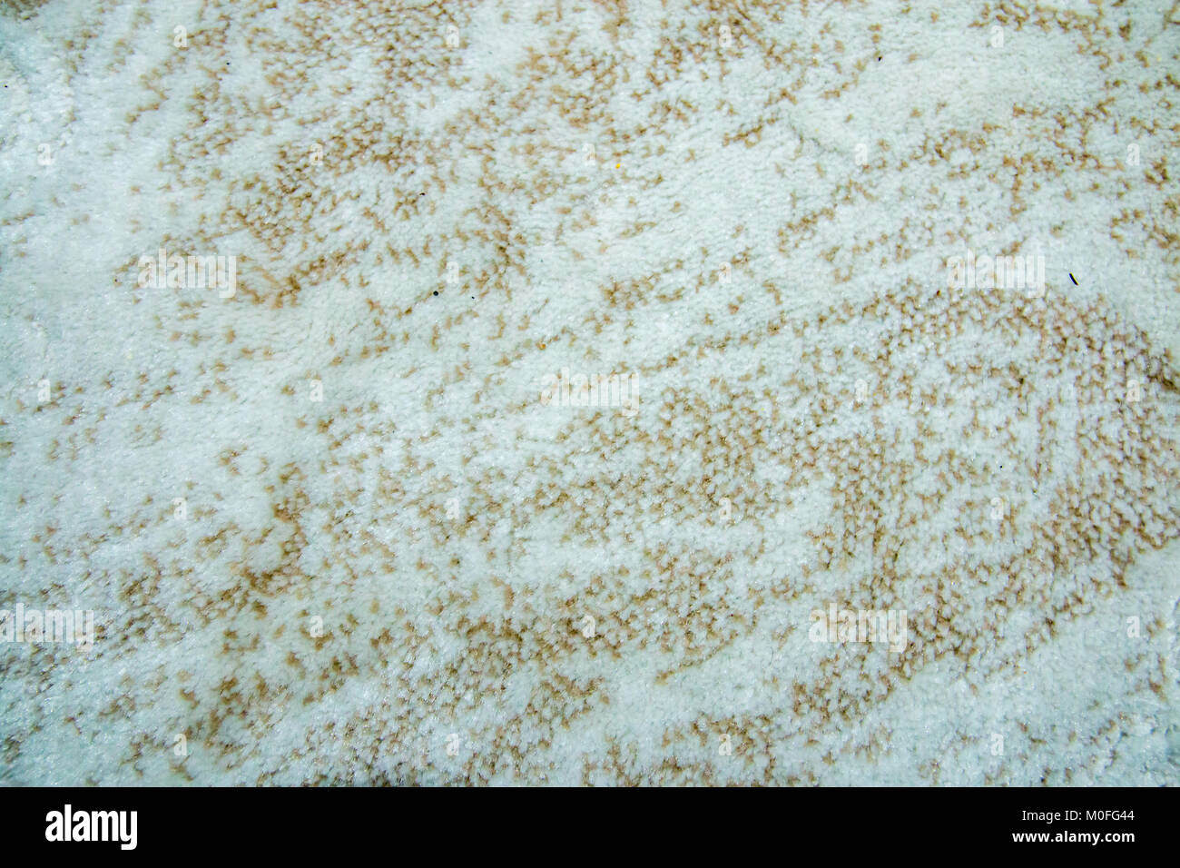 White fluffy texture hi-res stock photography and images - Alamy