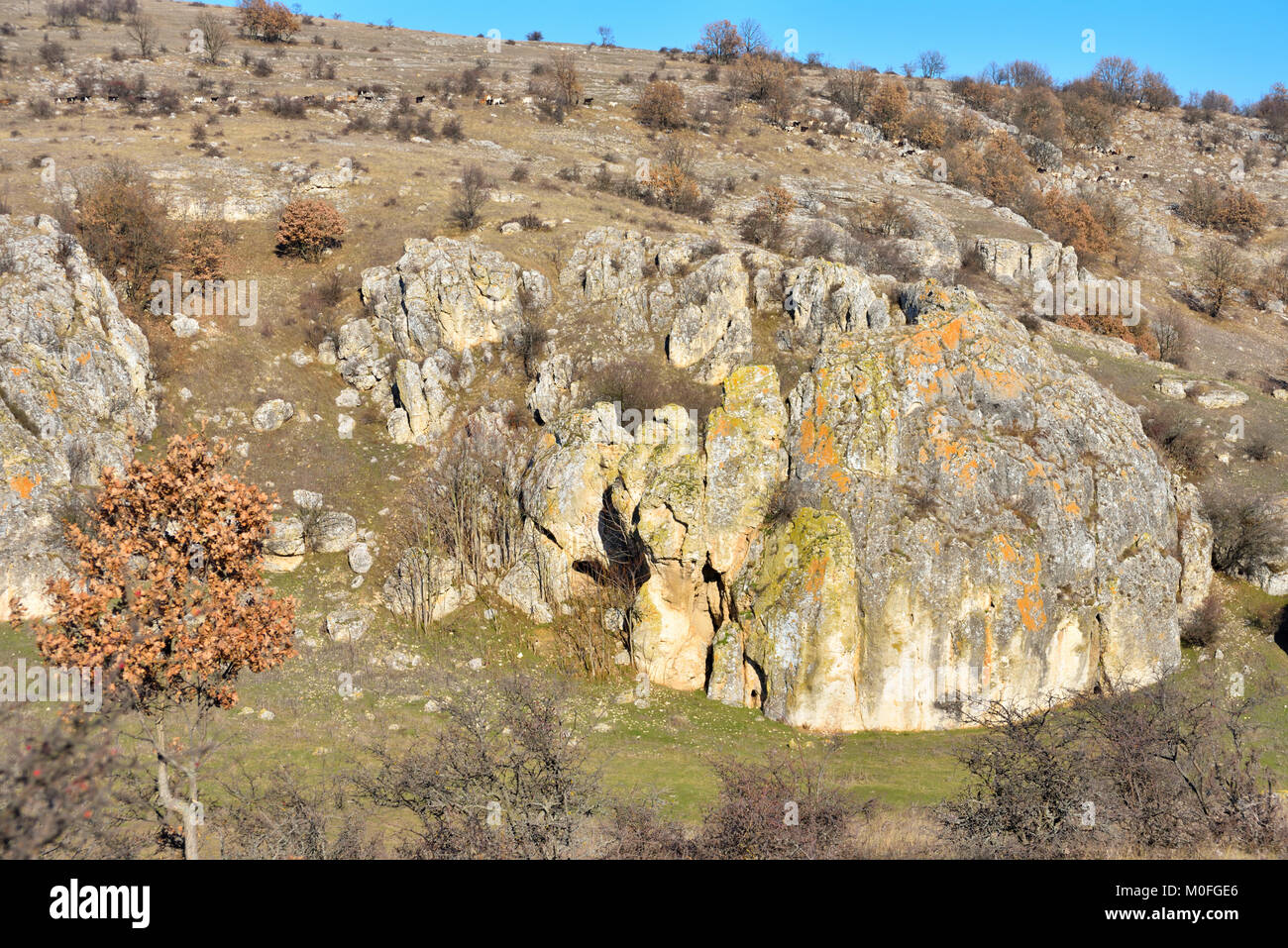 Dobruja Gorges, coralifier formations from old Thetis Sea, in Autumn ...