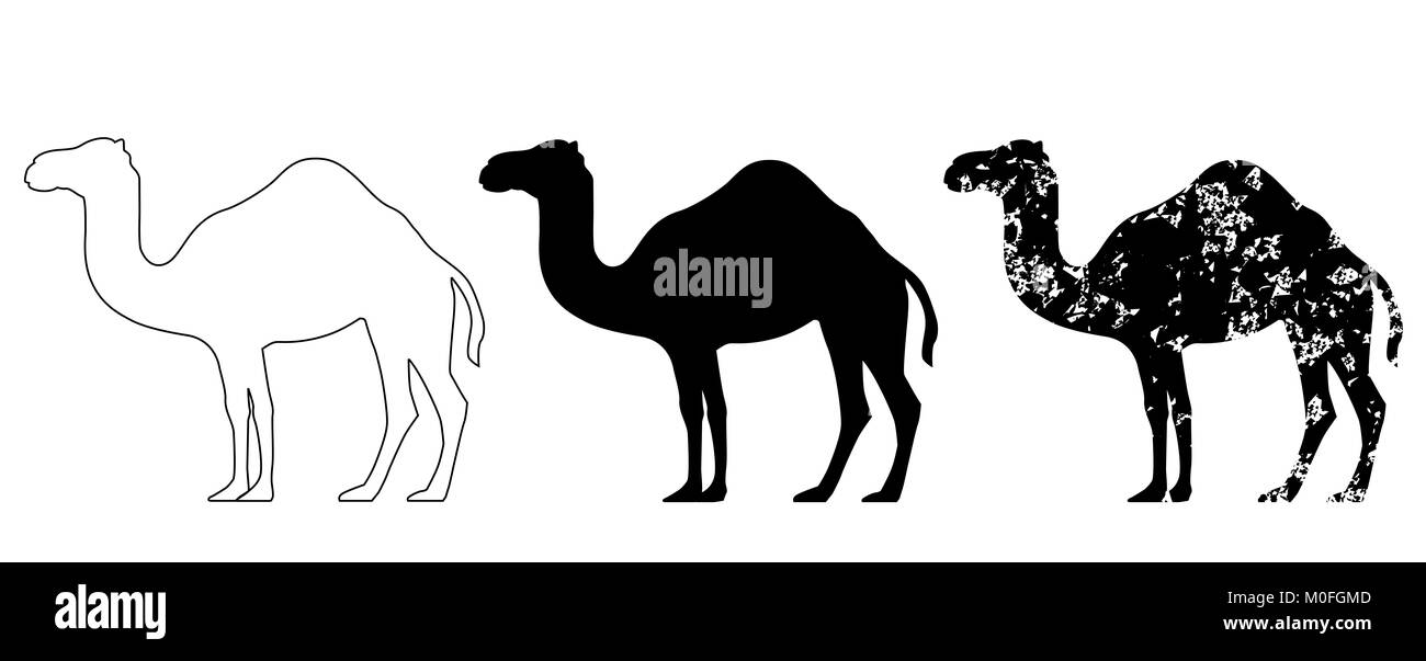 Cute camel icon cartoon Cut Out Stock Images & Pictures - Alamy