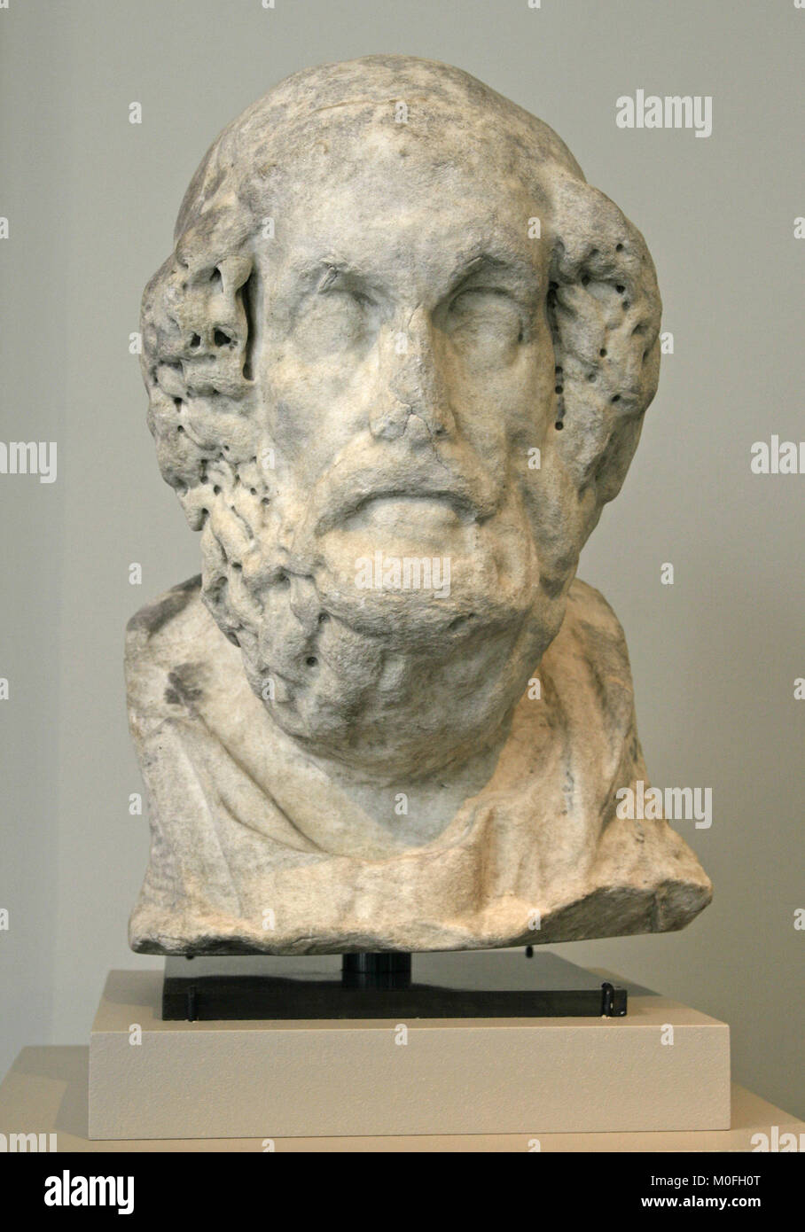 Marble head of Homer, Roman 1st -2nd century Ad, The Metropolitan ...