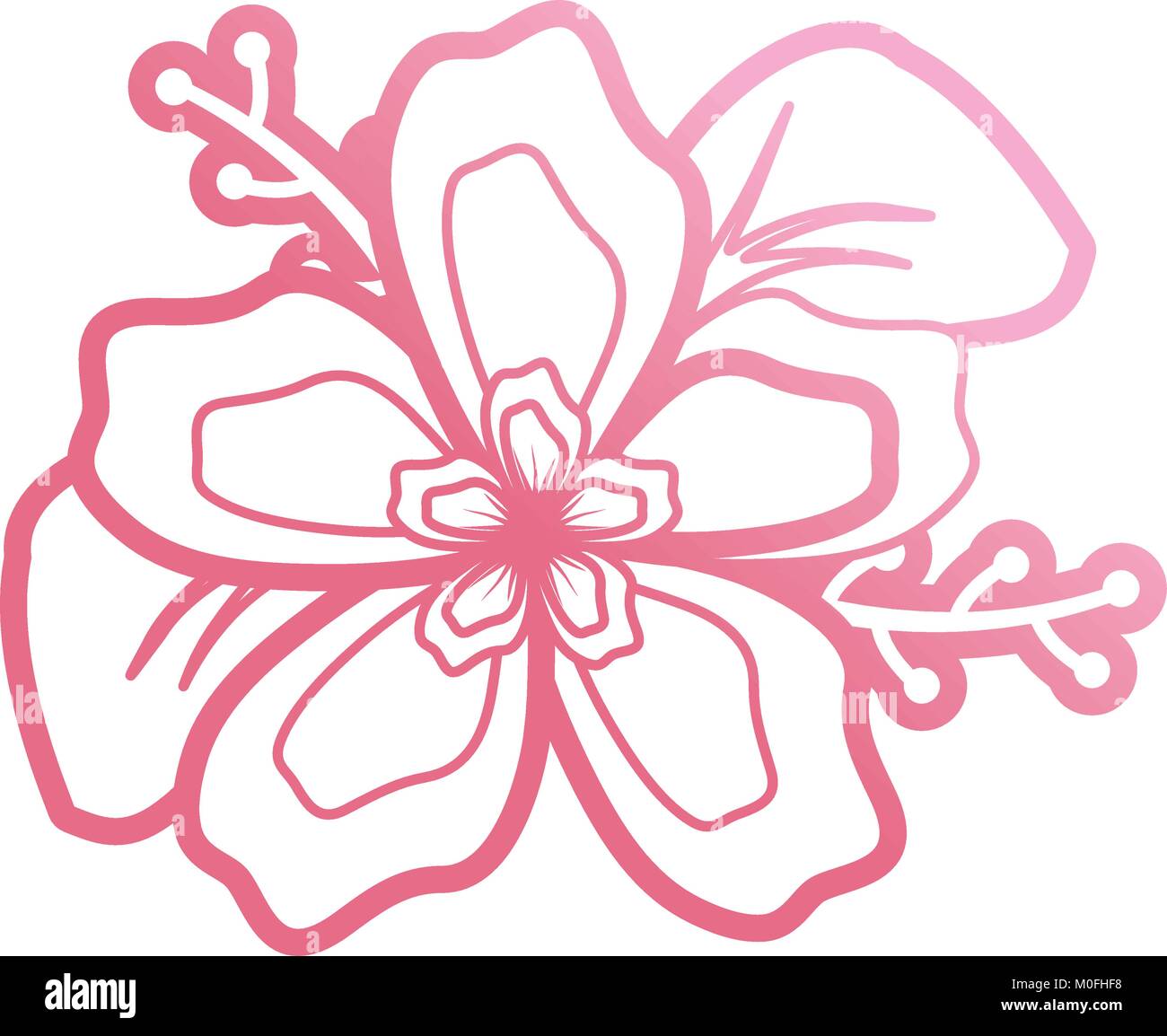 pink flower design vector illustration Stock Vector Image & Art - Alamy
