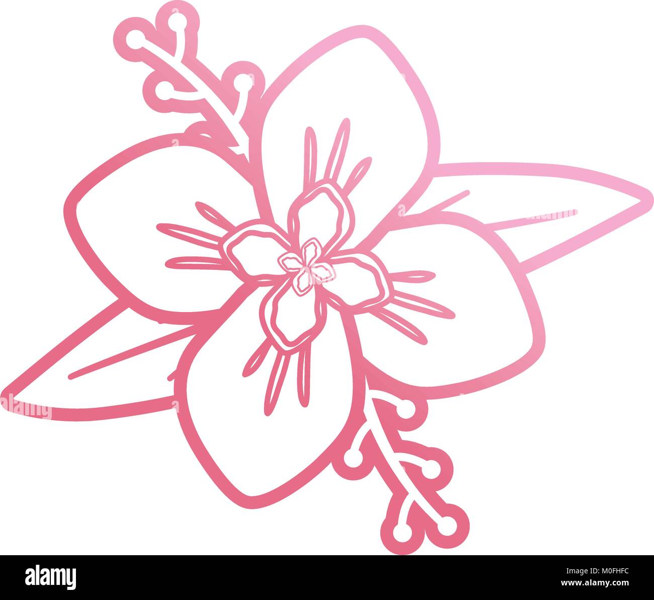 pink flower design vector illustration Stock Vector Image & Art - Alamy