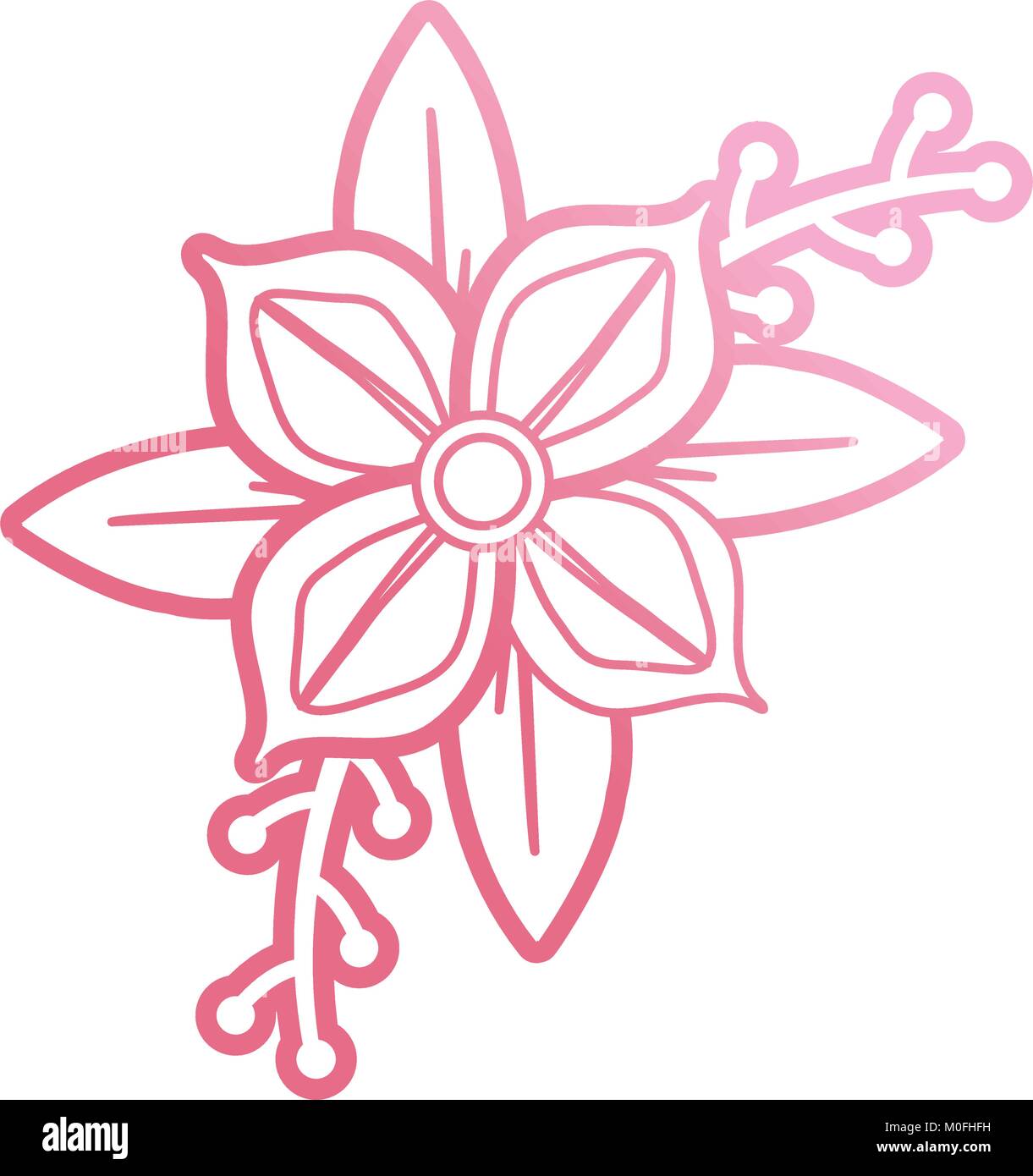 pink flower design vector illustration Stock Vector Image & Art - Alamy