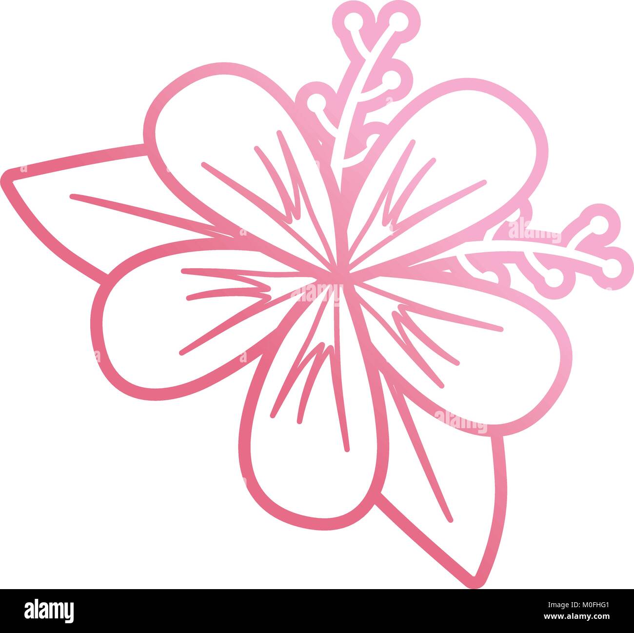 pink flower design vector illustration Stock Vector Image & Art - Alamy
