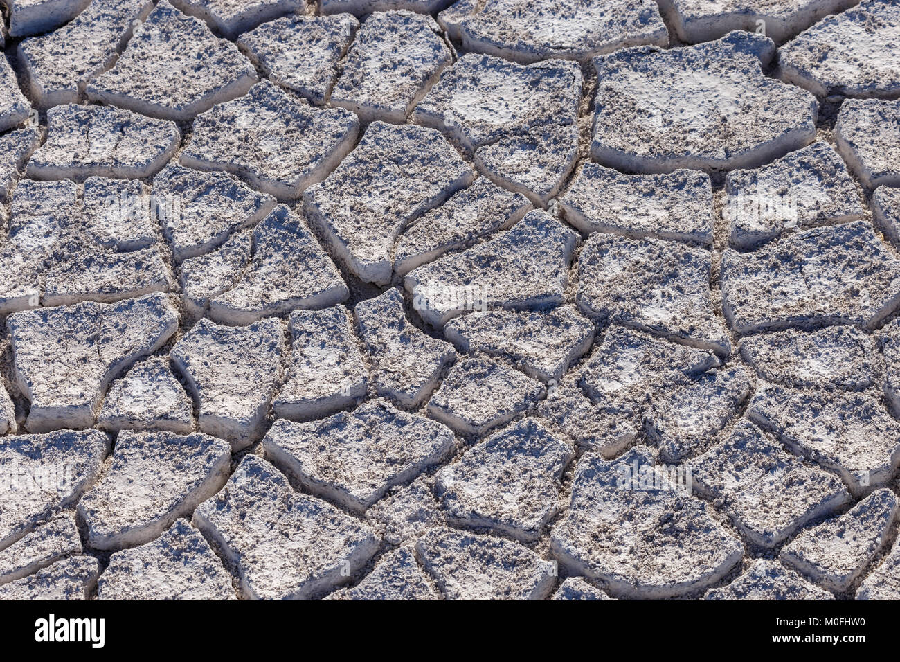 Cracked Desert Ground Texture Cracked Soil Texture: Background Images