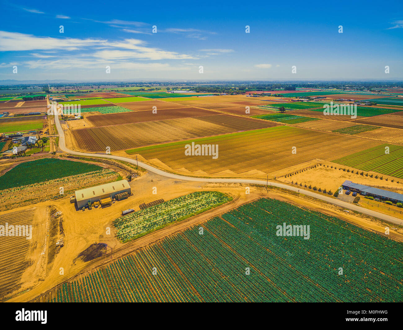 Aerial landscape of crop fields - straight rectangles with rural road ...