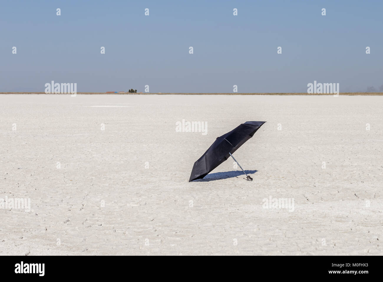 Black umbrella lies on cracked drought salt lake located in Central ...