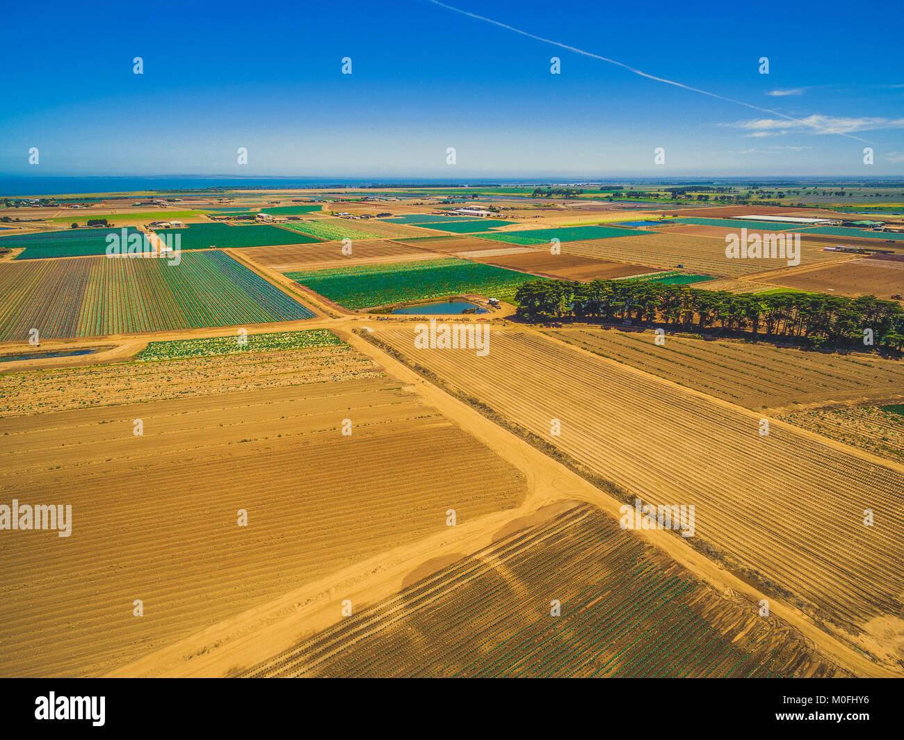 Aerial view of crop fields - straight rectangles with rural road on ...