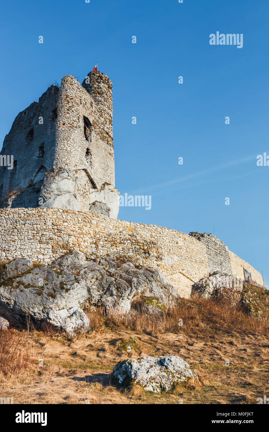 Ruins of medieval castle in Mirow, Poland Stock Photo - Alamy