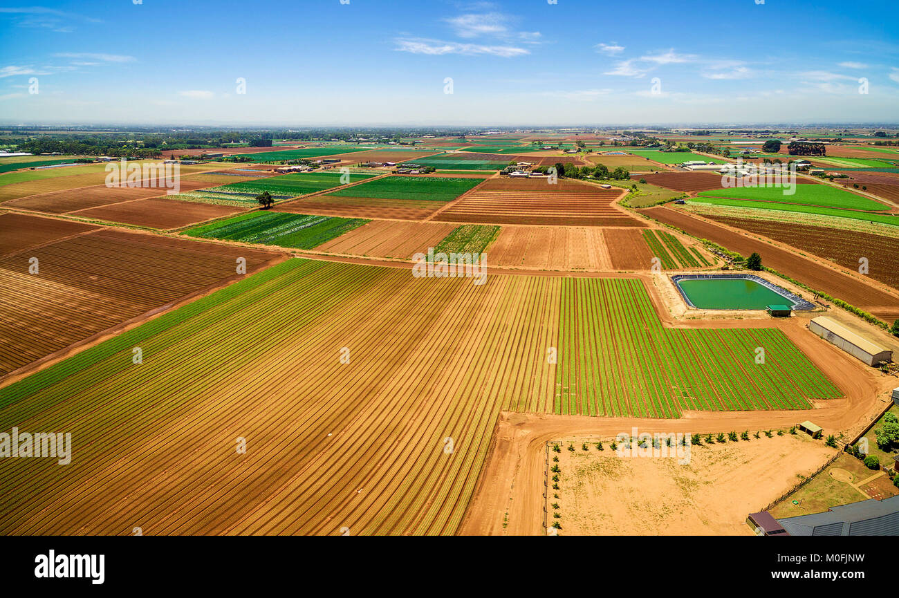 Aerial panorama of agricultural fields - plowed and with crops on ...