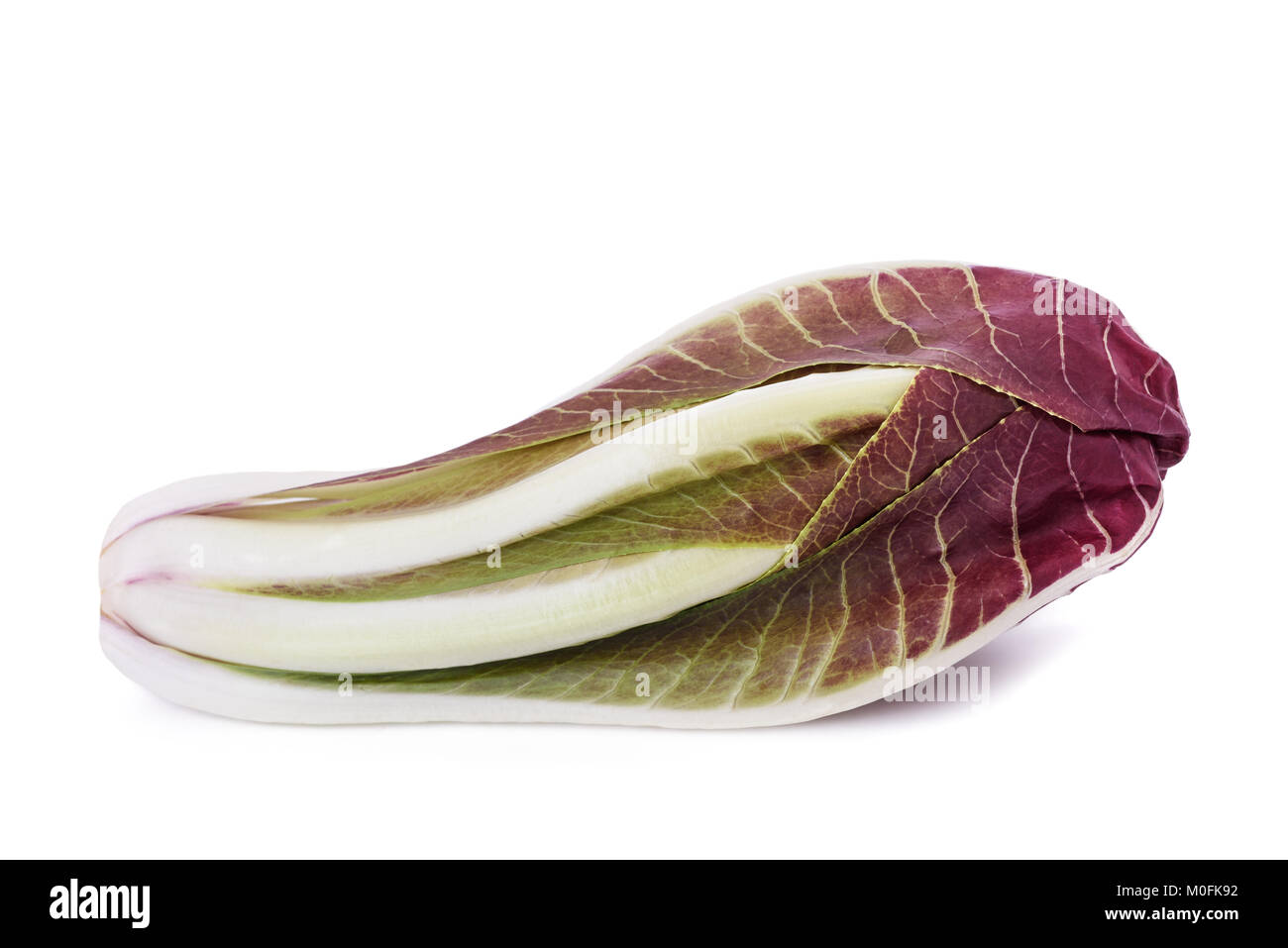 Red radicchio isolated on white background Stock Photo - Alamy