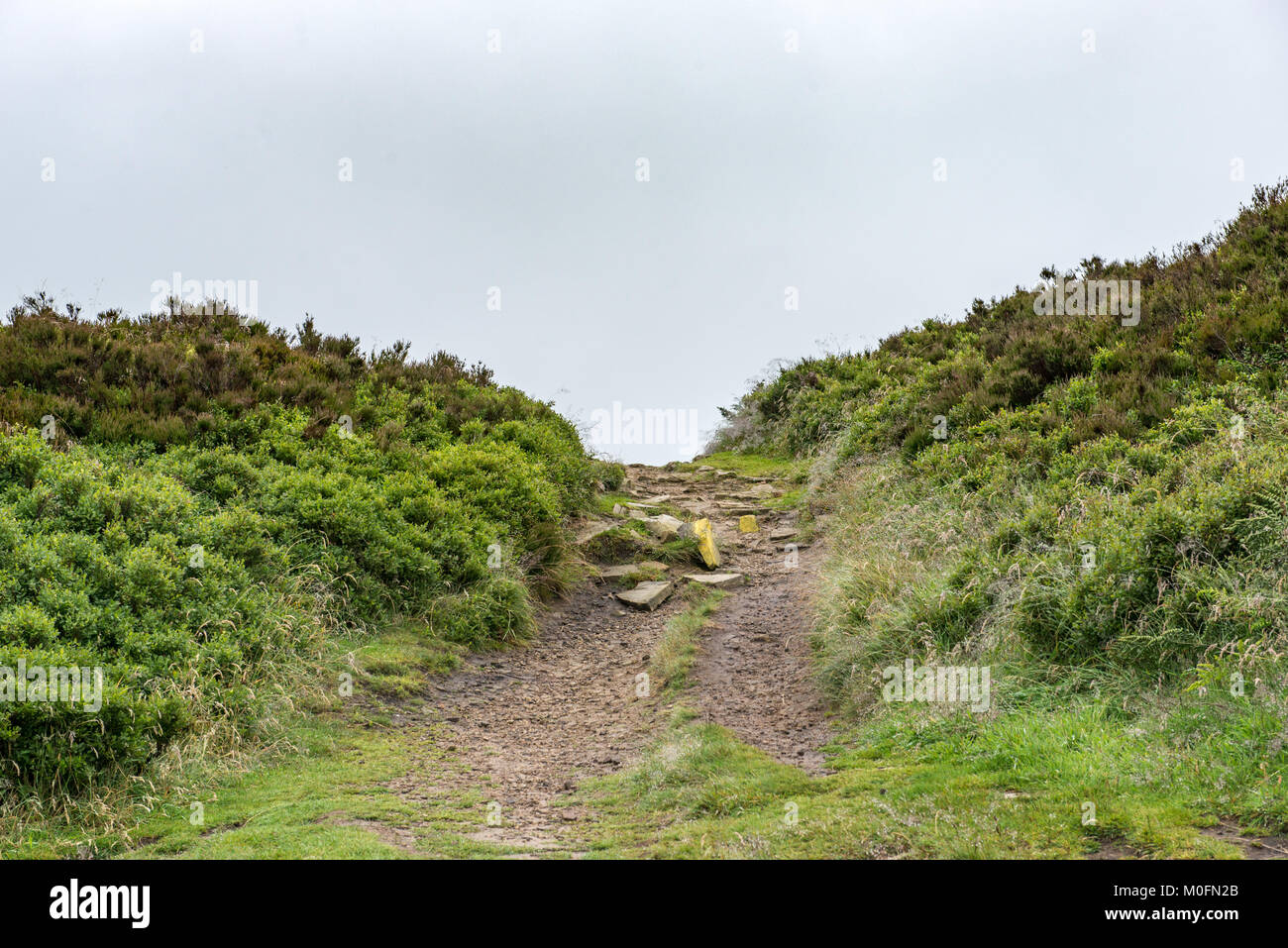 Dirt path leads up hill at moorlands in Penistone Hill Country Park ...