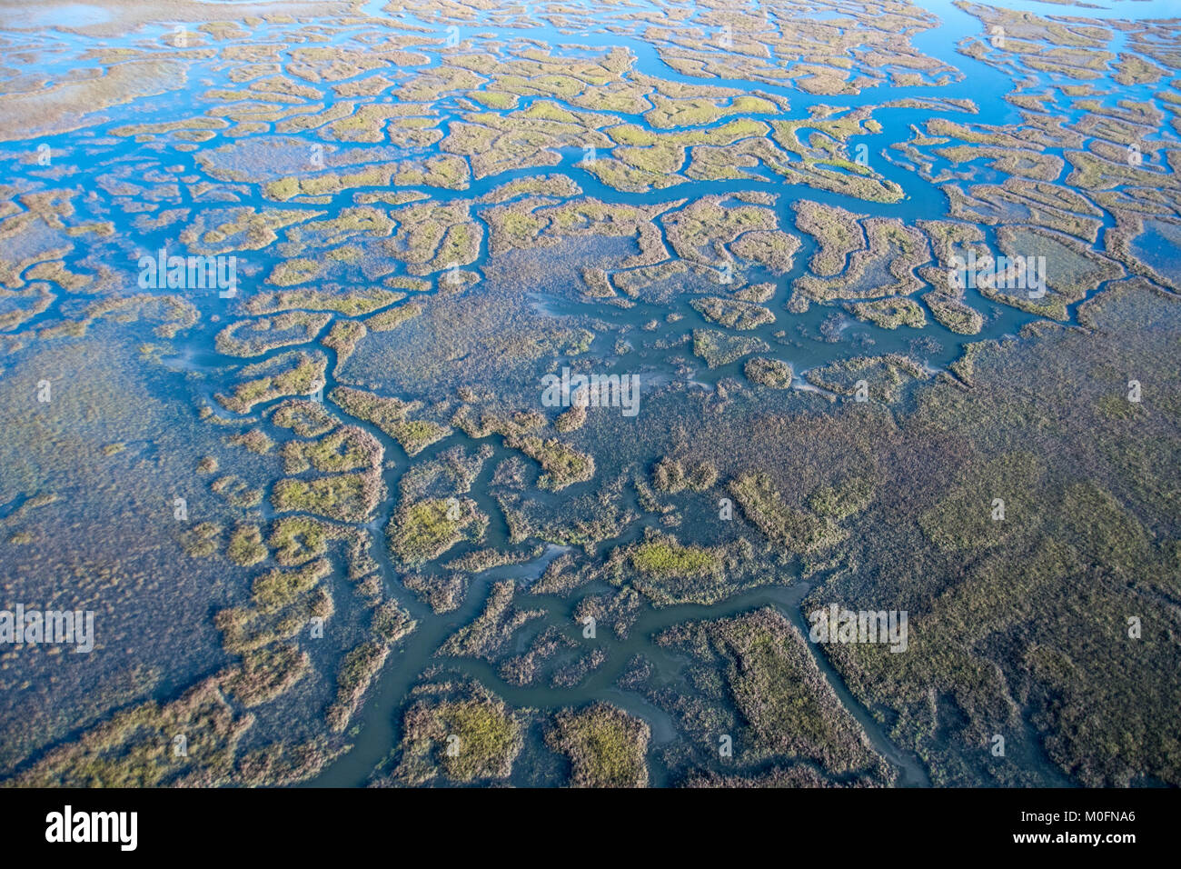 Shots of the stunning Georgia Sea Islands and coastal waterways for the ...