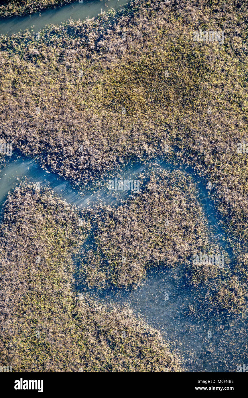 Shots of the stunning Georgia Sea Islands and coastal waterways for the ...