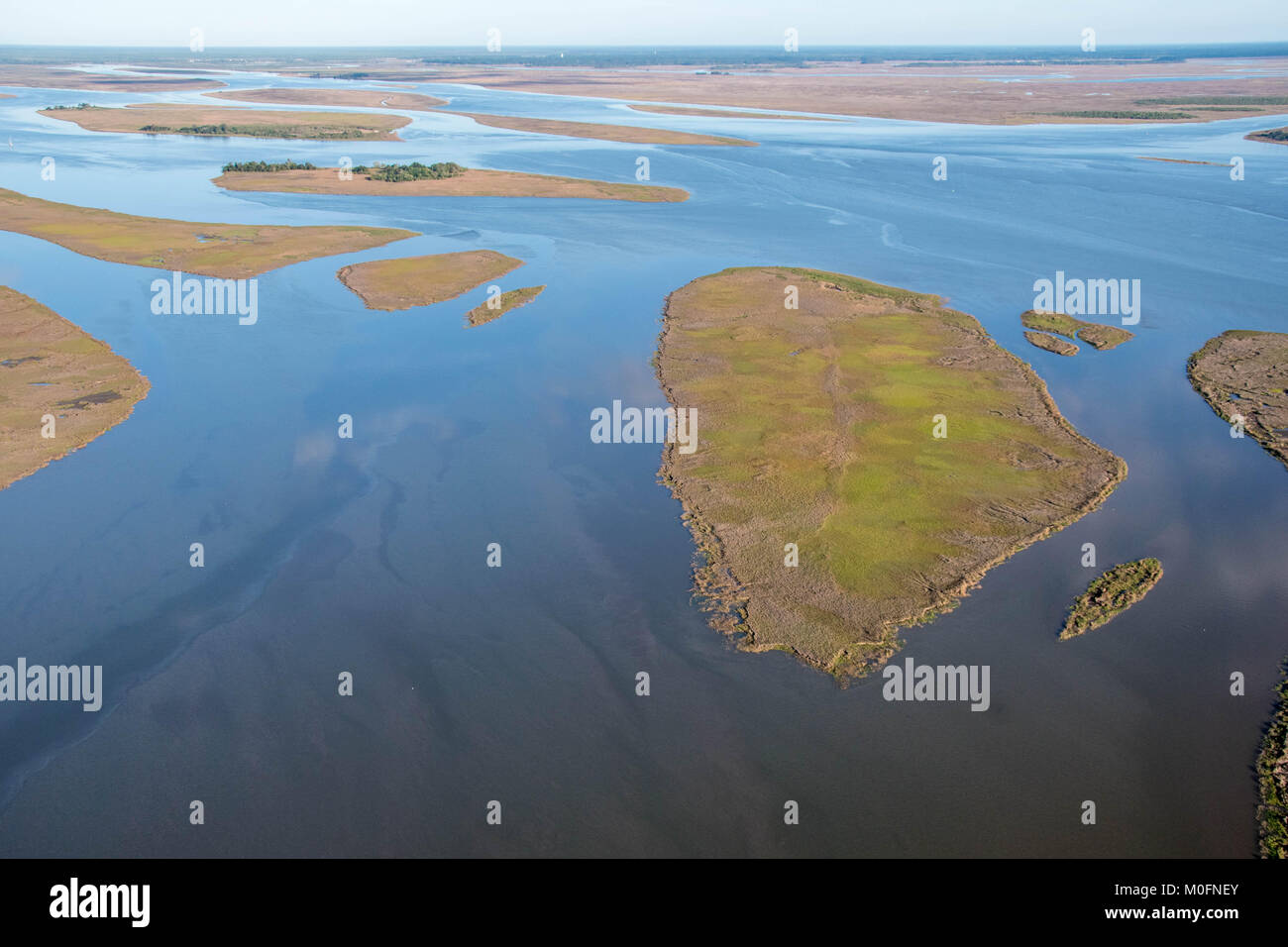 Shots of the stunning Georgia Sea Islands and coastal waterways for the ...