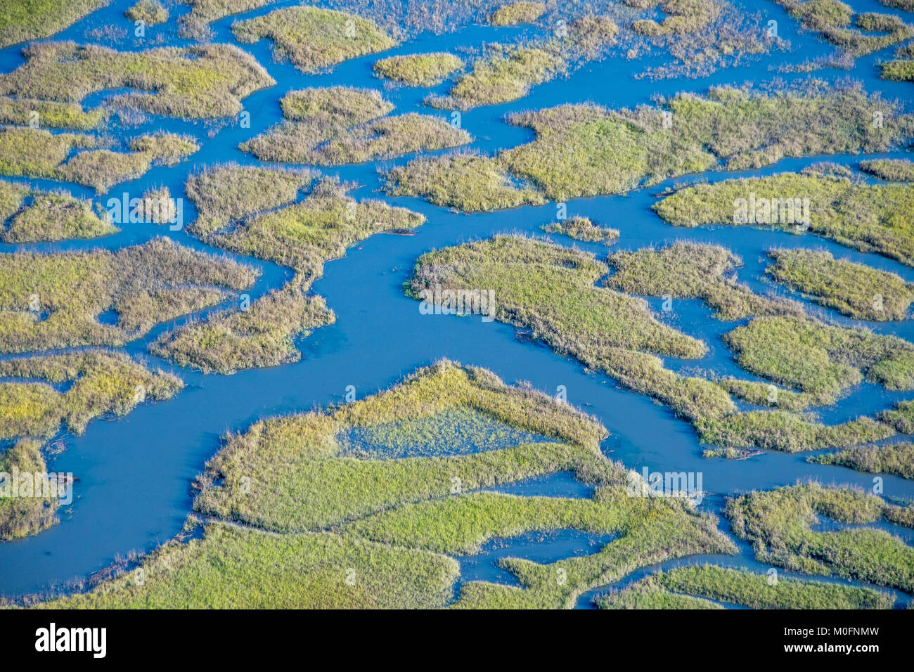 Shots of the stunning Georgia Sea Islands and coastal waterways for the ...
